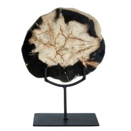 Relic Small Petrified Wood Sculpture In White And Dark Black | Elegant ...